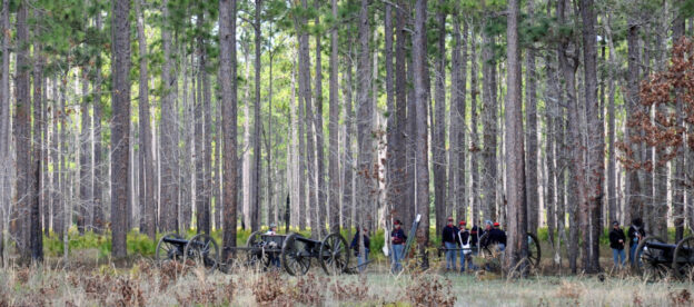 In which we look at the action at the Battle of Olustee, which took ...